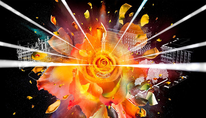 Be The First To Bloom With The Tram | Edinburgh Trams