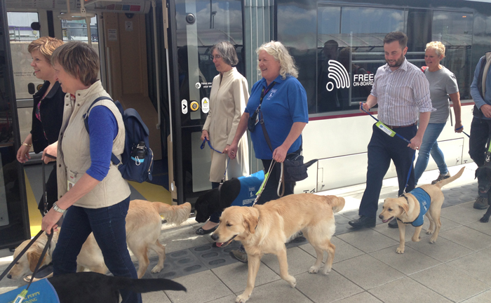 Transport for Edinburgh provides free transport for Guide Dogs Scotland ...
