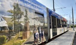 Edinburgh Tram Extension | Edinburgh Trams